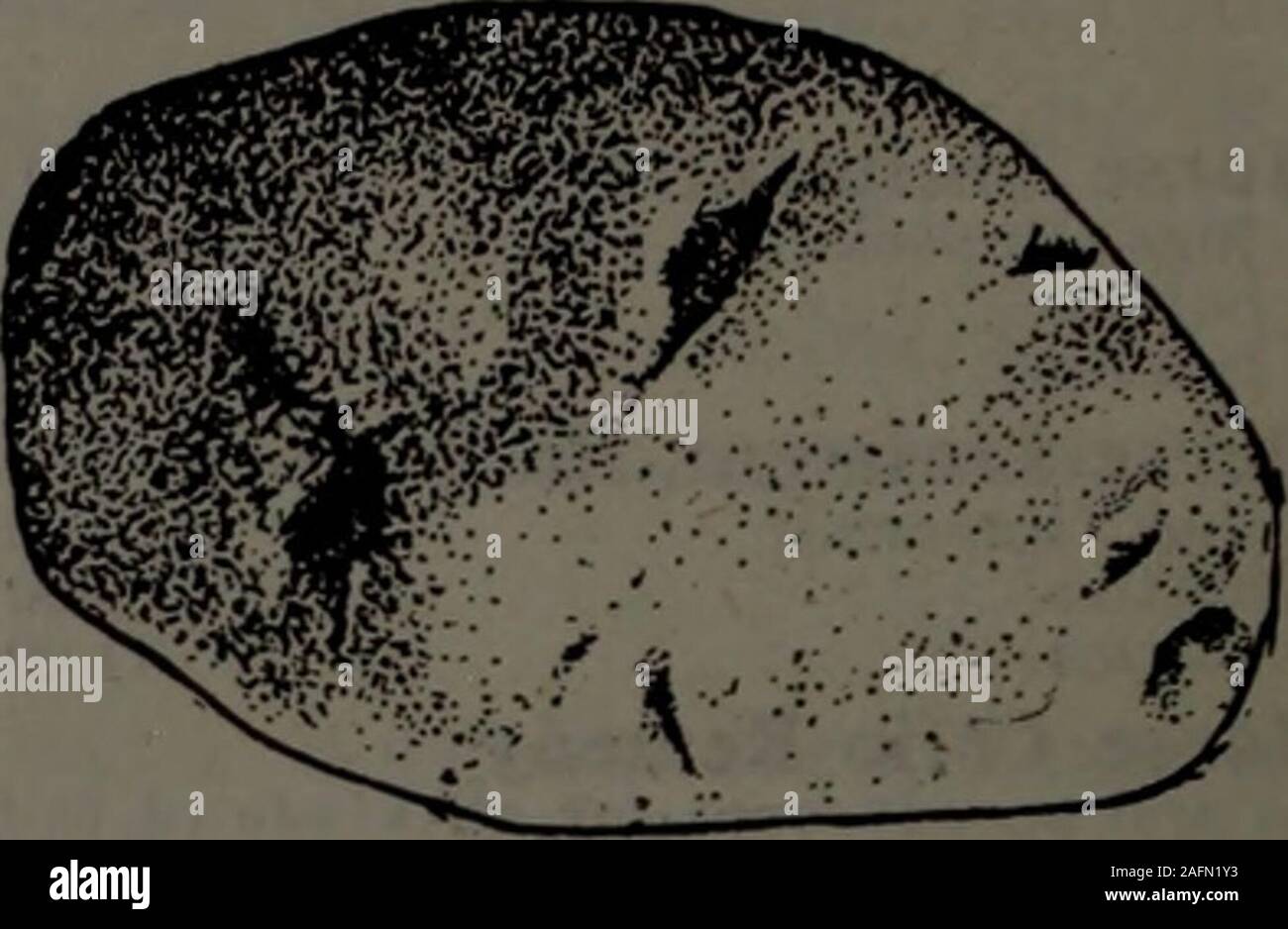 Shimer cutter heads hi-res stock photography and images - Alamy