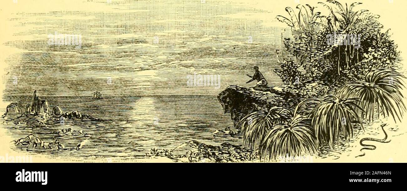 . The boy travellers in Australasia : adventures of two youths in a ...