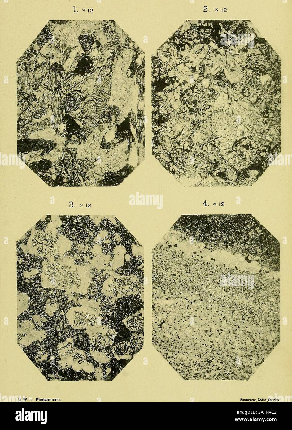 Picrite hi-res stock photography and images - Alamy