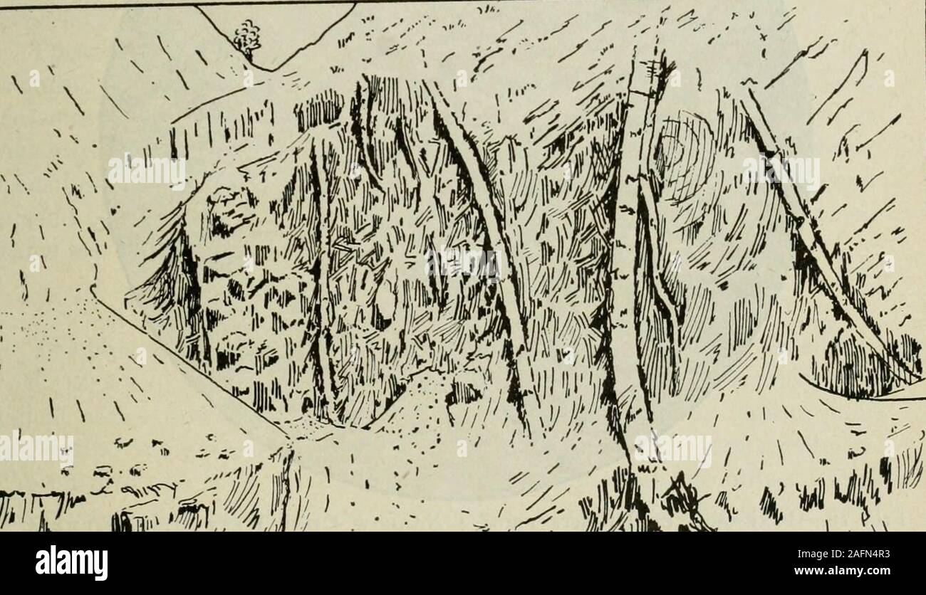 . Transactions. Fig. 17.—Ramifying Dike or Thin Sill of Dacite-Porphyry ...