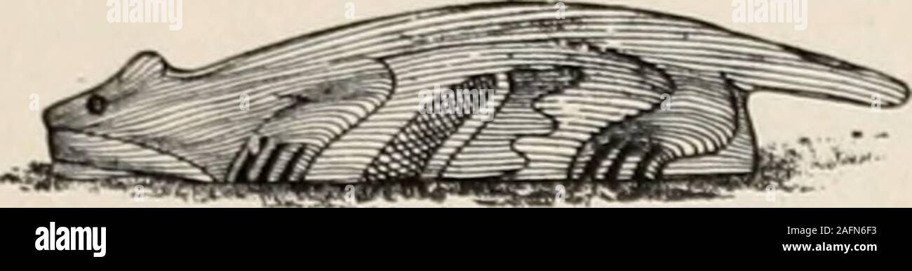 . The Antiquarian [serial]. Fig. LXI—Design of Fig. LX Tracing on ...