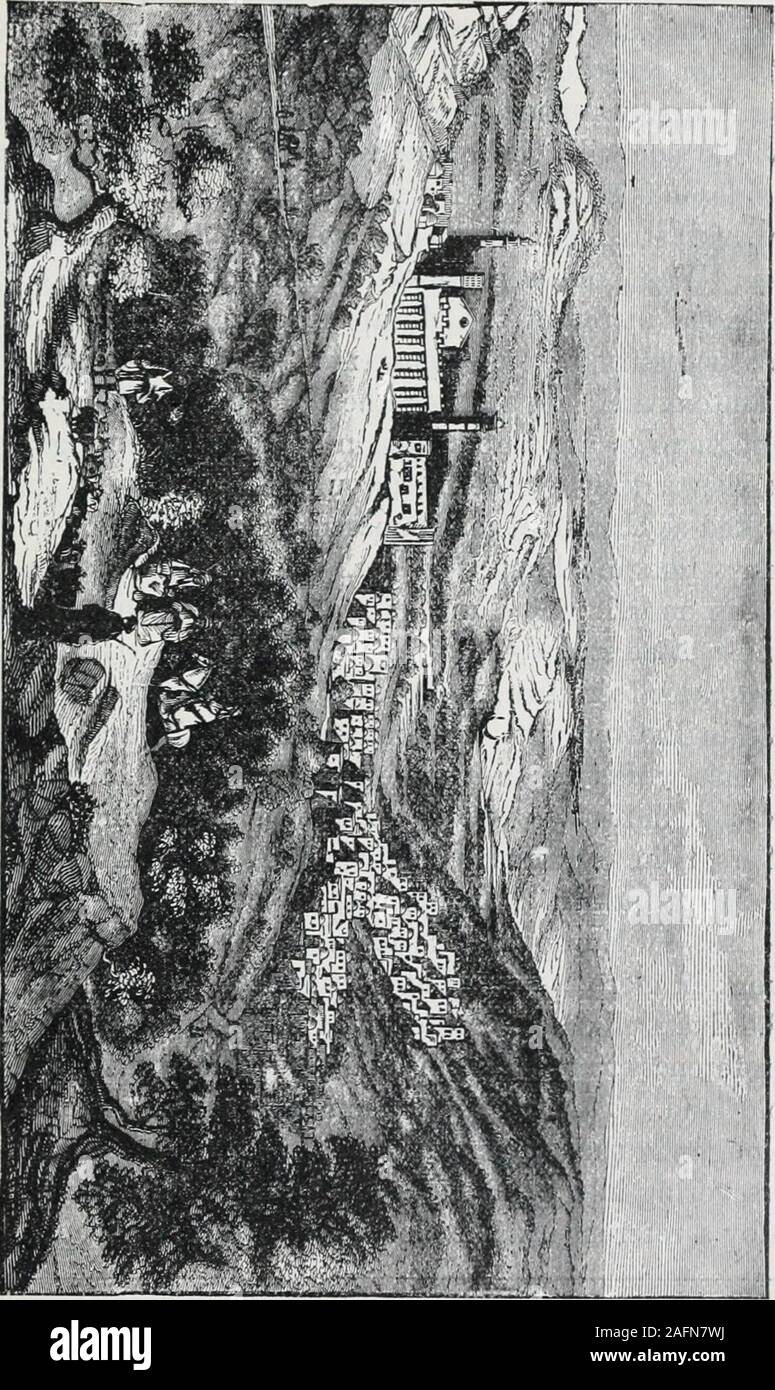 Grapes of eschol hi-res stock photography and images - Alamy