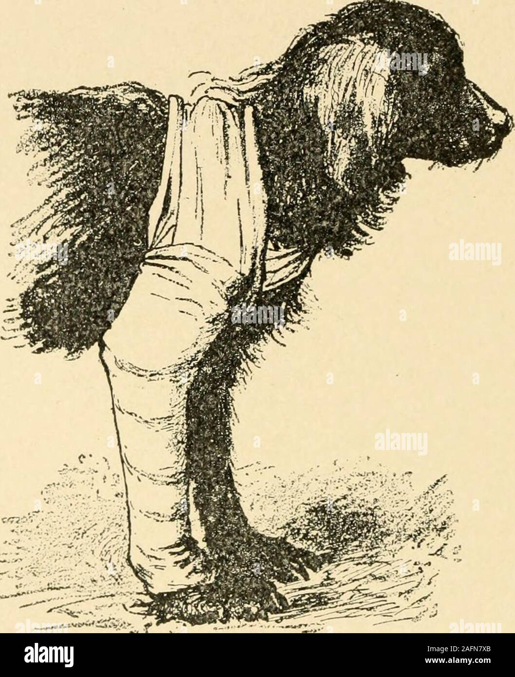 Possil hi-res stock photography and images - Alamy