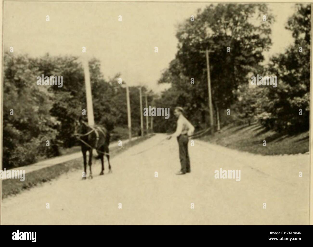 Longeing cavesson hi-res stock photography and images - Alamy