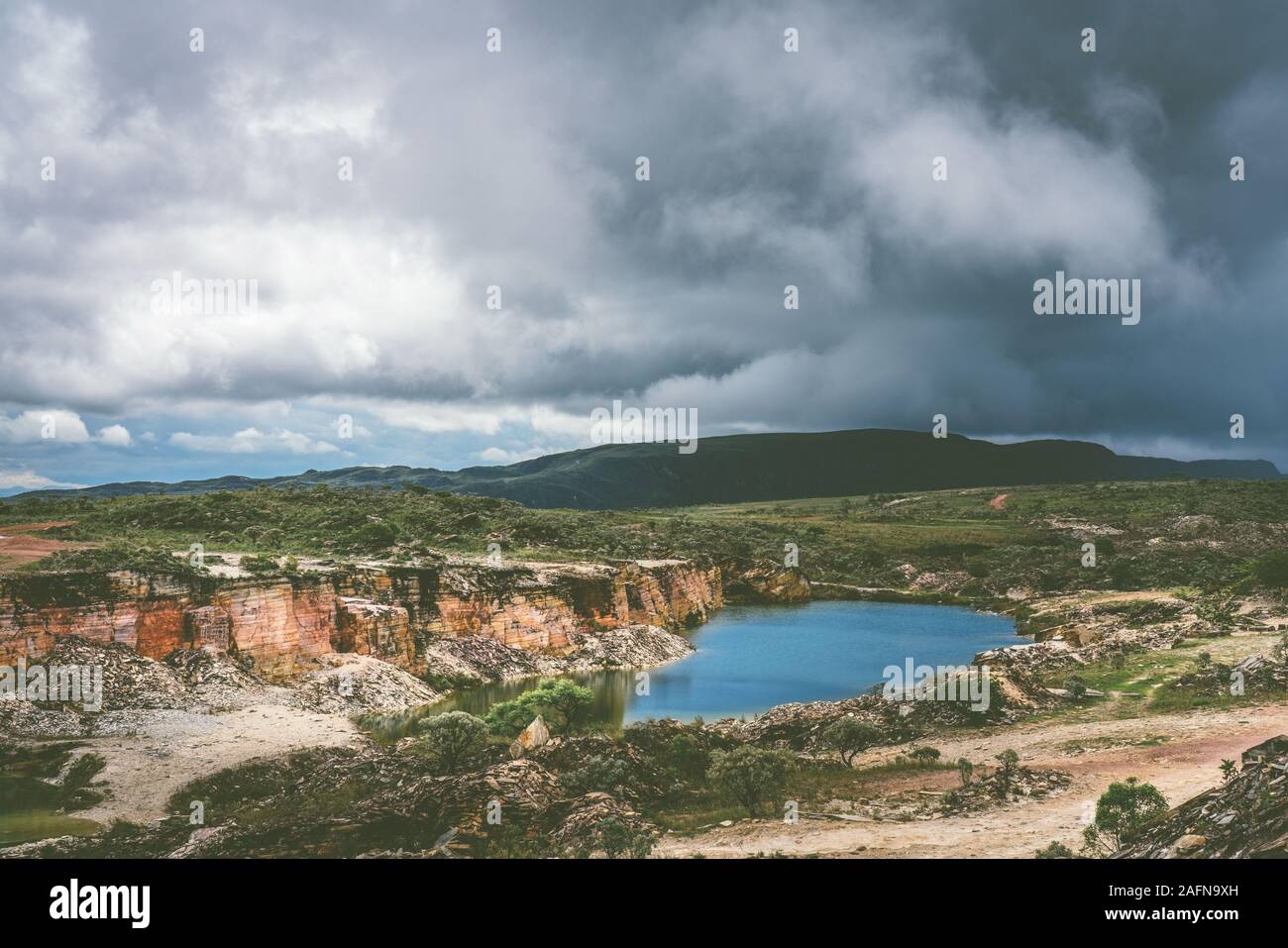 Former rain forest hi-res stock photography and images - Alamy