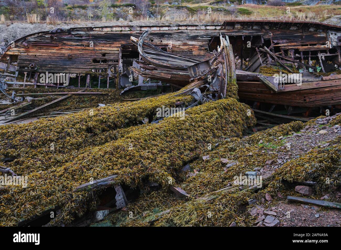 Cemetery of old ships Teriberka Murmansk Russia, wooden remains of ...