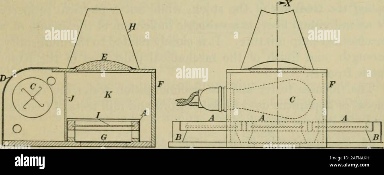Wood under microscope hi-res stock photography and images - Alamy