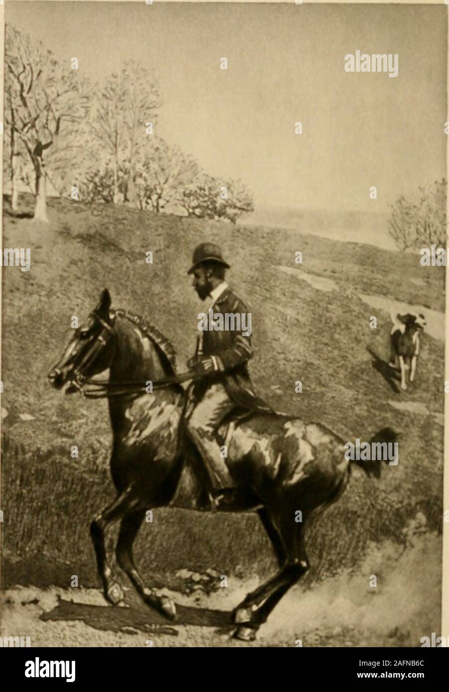 False leg for a horse hi-res stock photography and images - Alamy