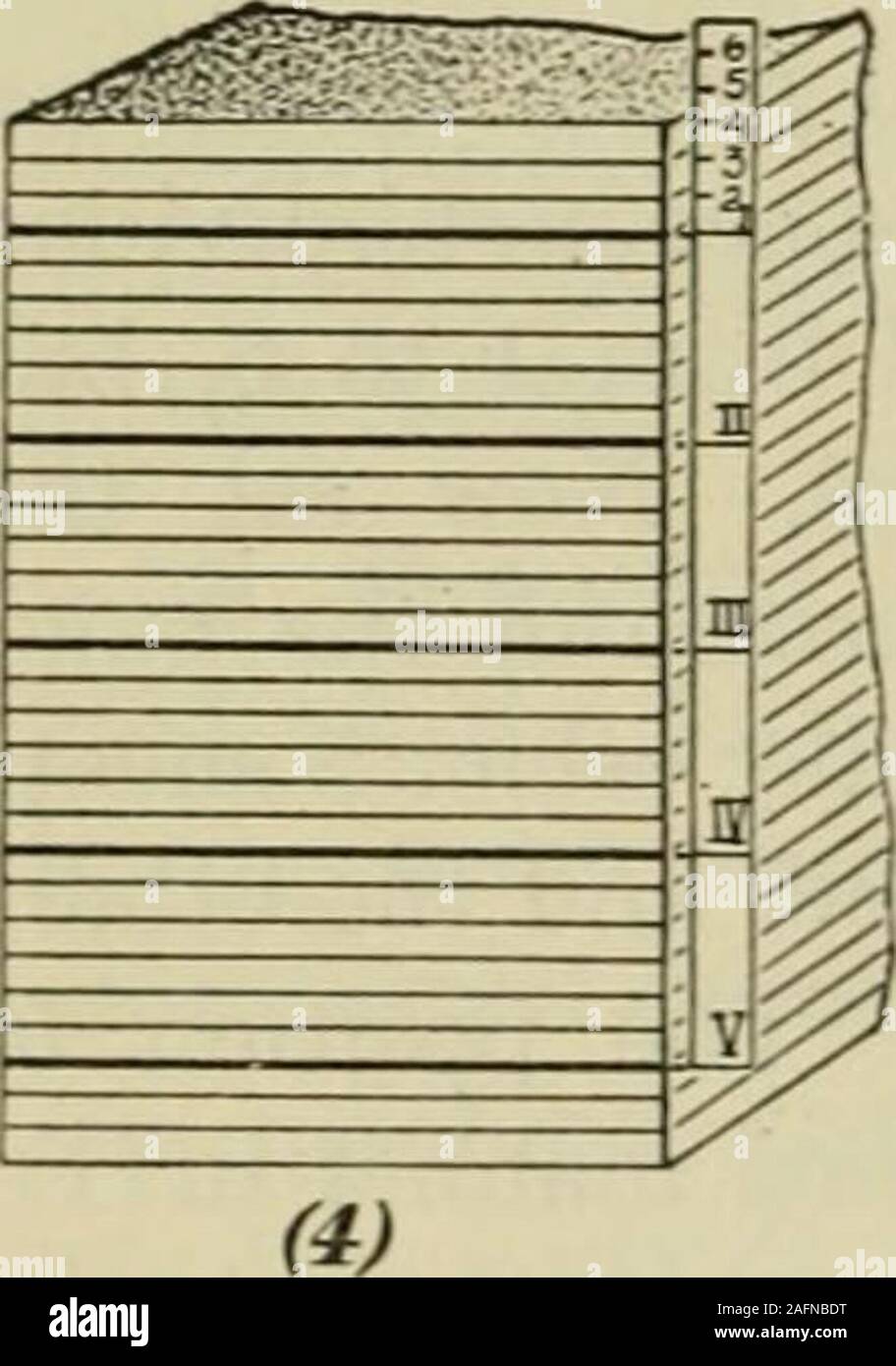Pulp sampling hi-res stock photography and images - Alamy
