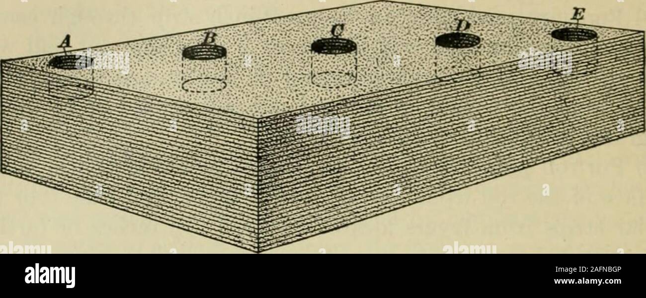Pulp sampling hi-res stock photography and images - Alamy