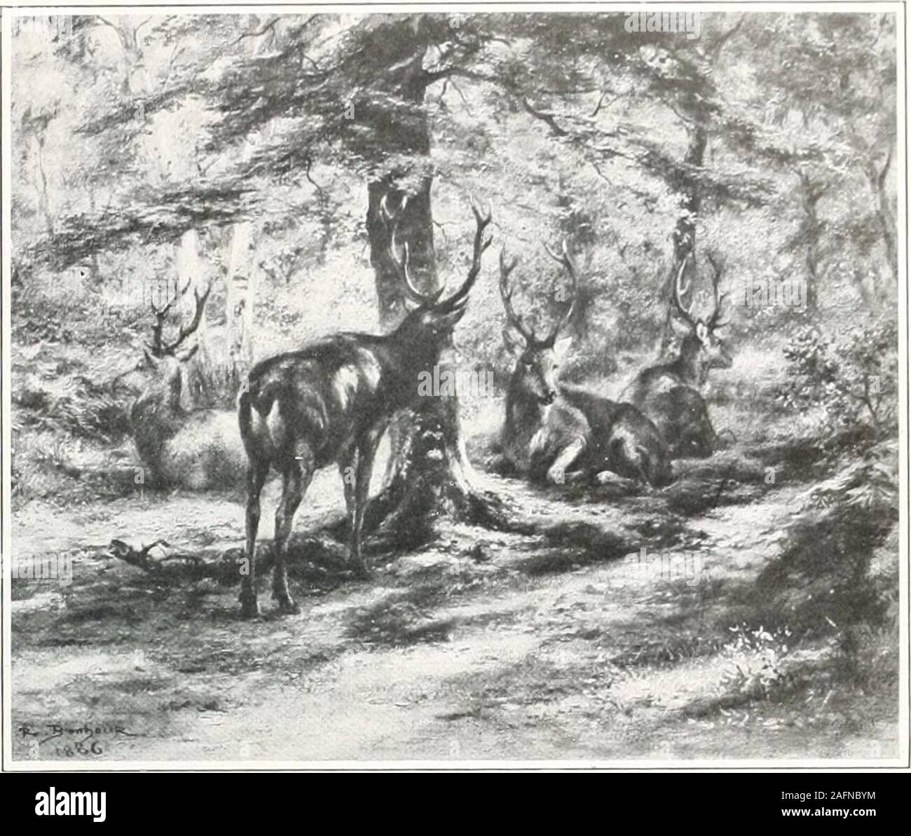 . International studio. the magnitudeof the tasks she set herself far ...