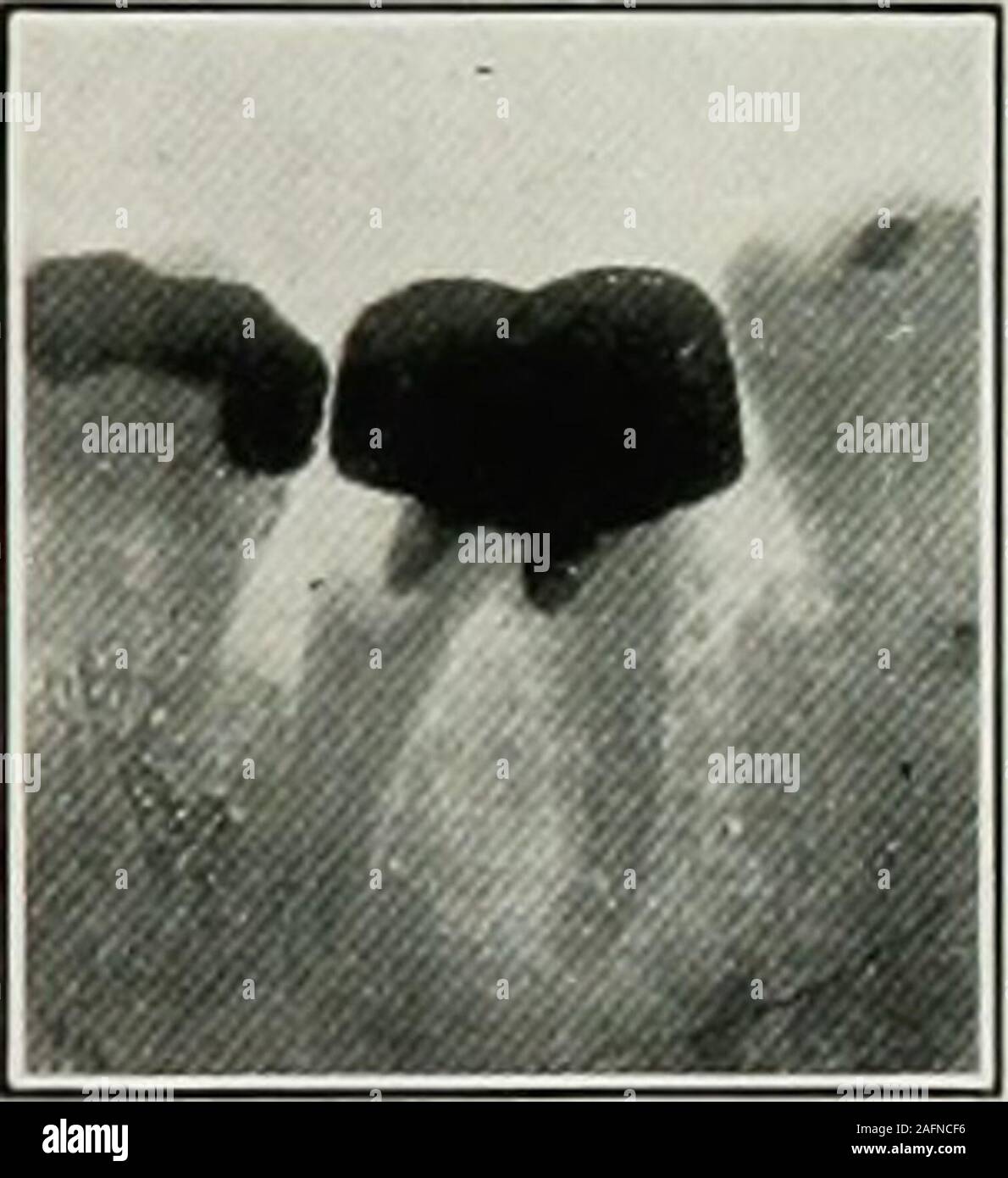 Pulpstone hi-res stock photography and images - Alamy