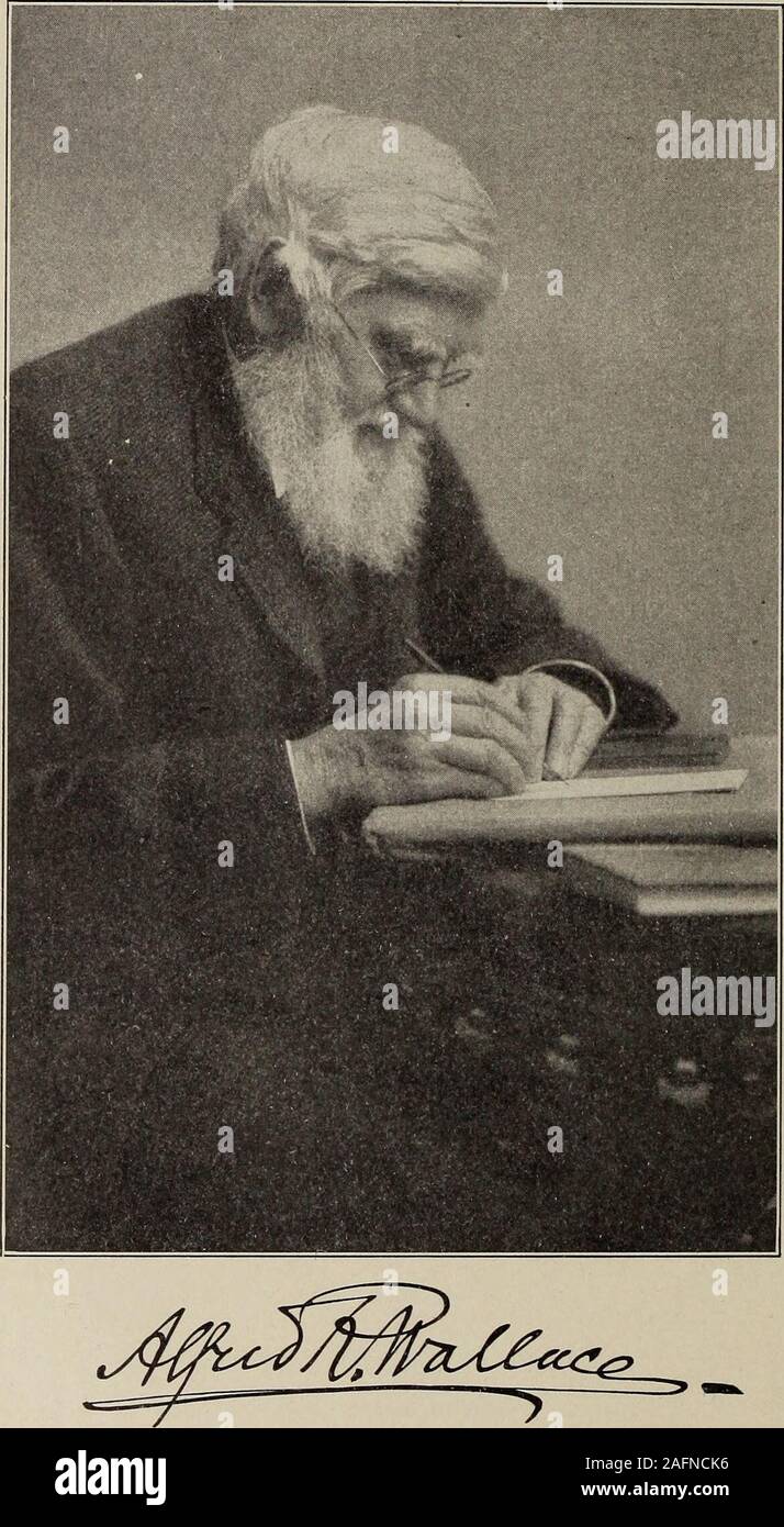 Colonel harvey hi-res stock photography and images - Alamy