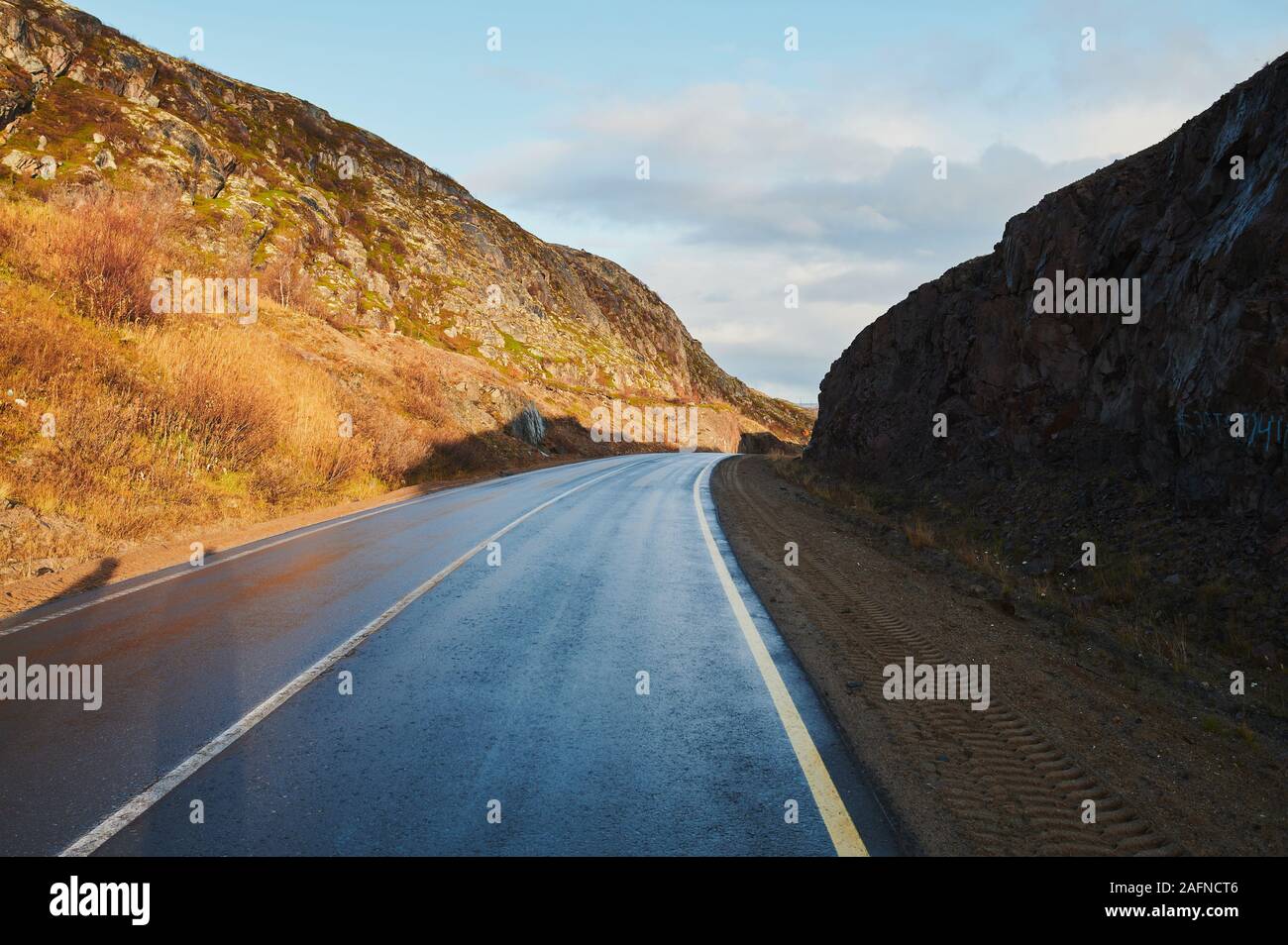 Trees hill road bumpy hi-res stock photography and images - Alamy
