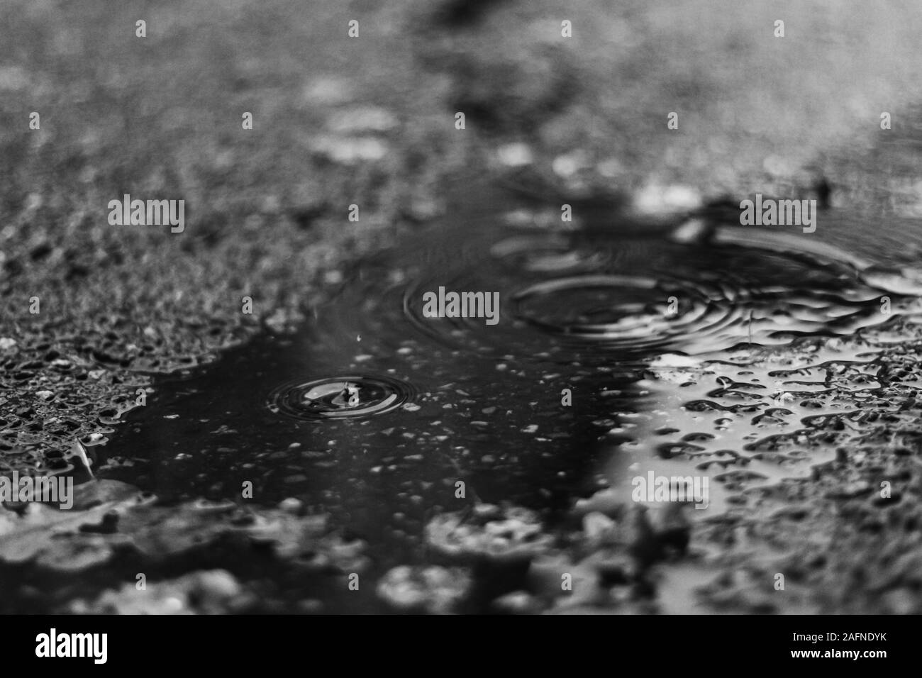 Raindrops Falling On The Ground