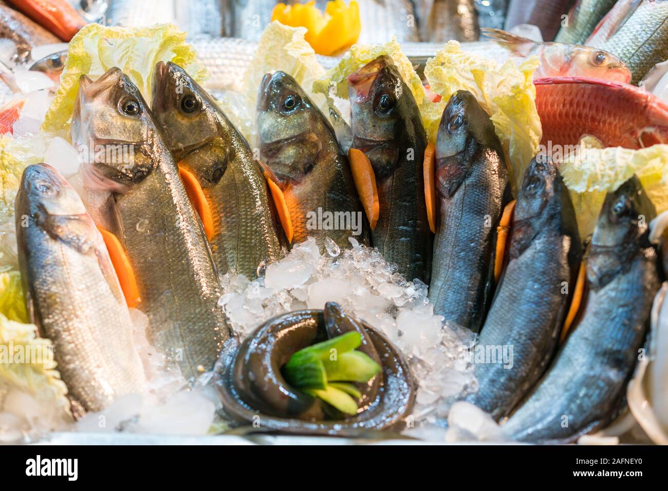 Fresh sea fish in ice at the market. healthy seafood Stock Photo - Alamy