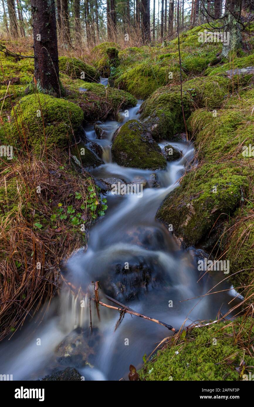 Long exposure forest creek Stock Photo - Alamy