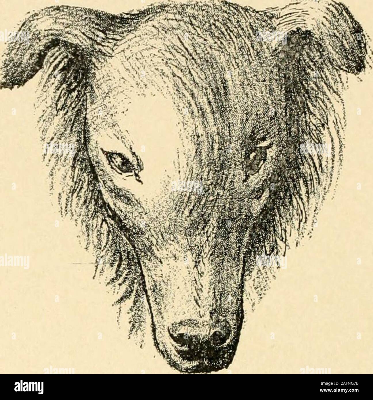 Nose bleeding epistaxis hi-res stock photography and images - Alamy