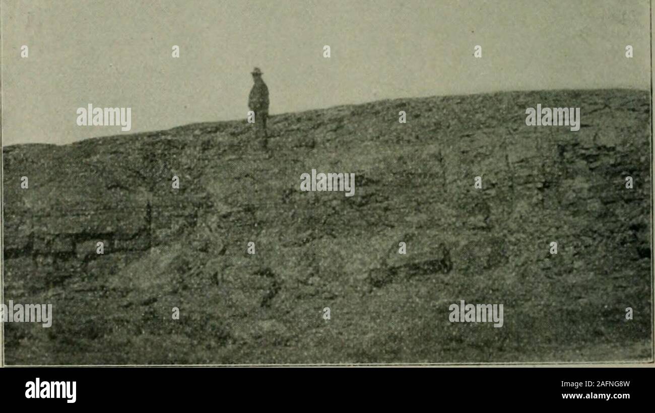 . Transactions. Typical Scene East Coast of Hudson Bay.. Stratified ...