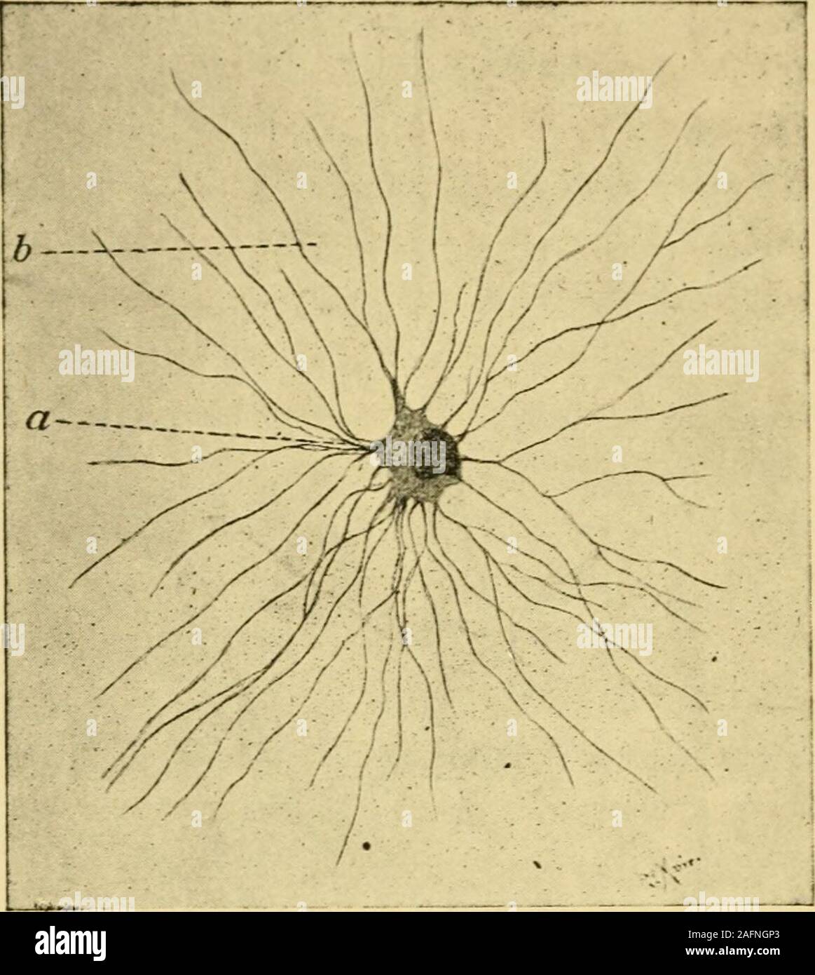 Anotherplace hi-res stock photography and images - Alamy