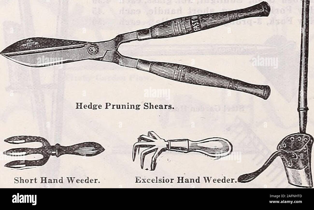 4 prong fork hi-res stock photography and images - Alamy