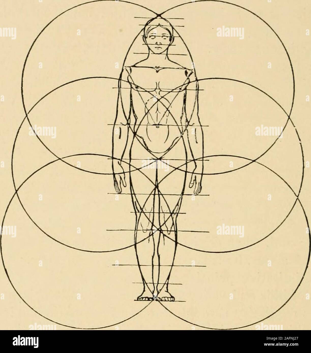 Humanform hi-res stock photography and images - Alamy