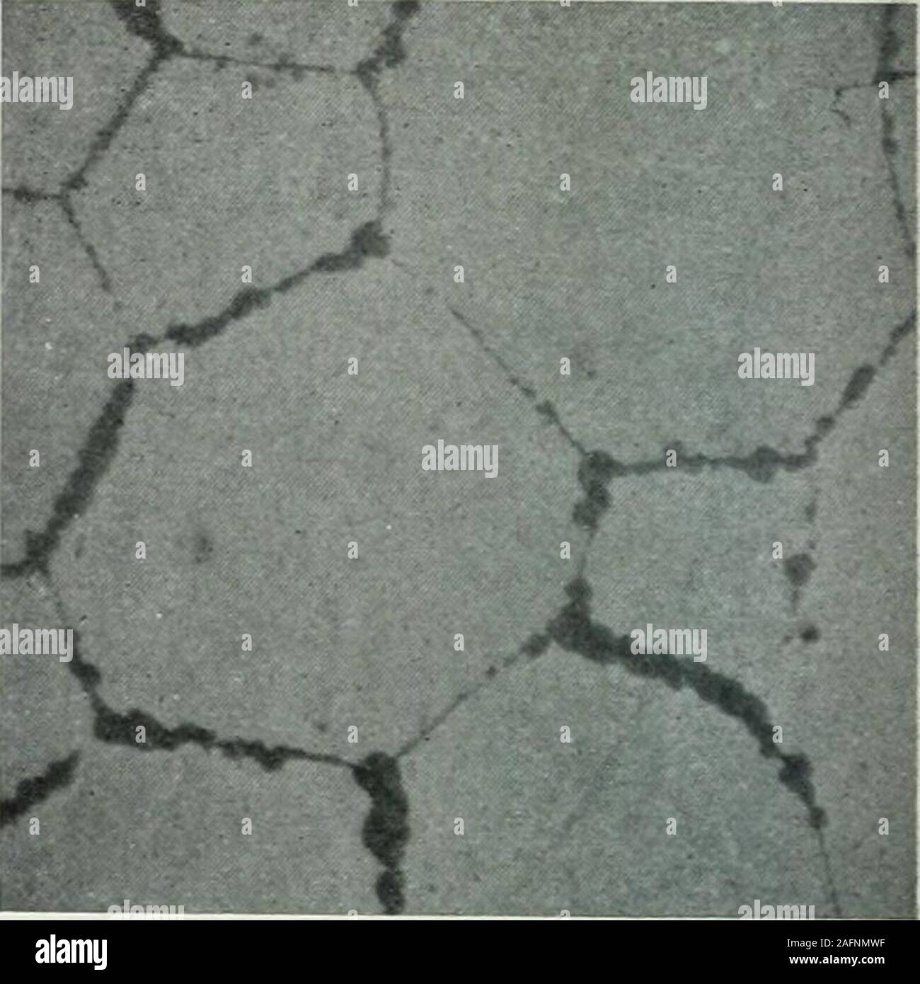 Troostite hi-res stock photography and images - Alamy