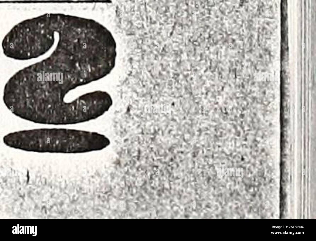 305 spring st hi-res stock photography and images - Alamy