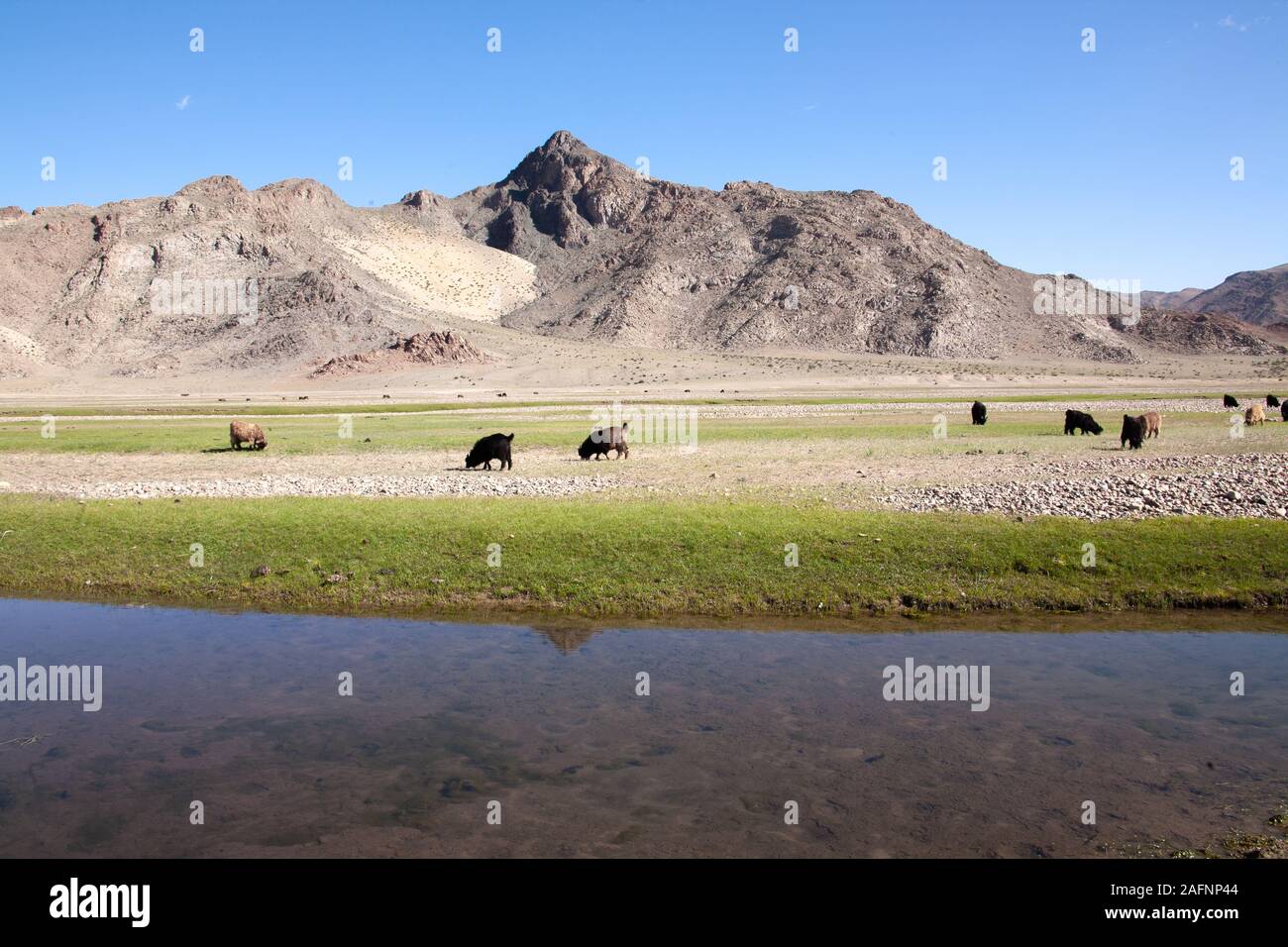 The landscape of the mongolian steppe Stock Photo - Alamy