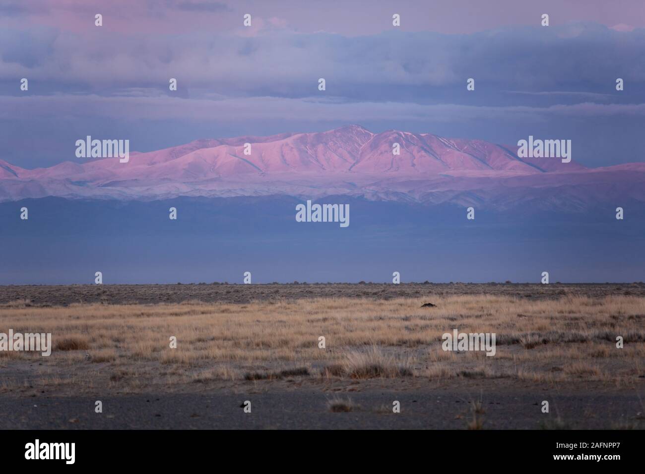 steppe near the mountains. Western Mongolia Stock Photo - Alamy