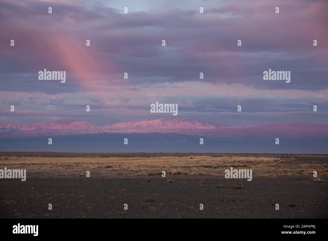steppe near the mountains. Western Mongolia Stock Photo - Alamy