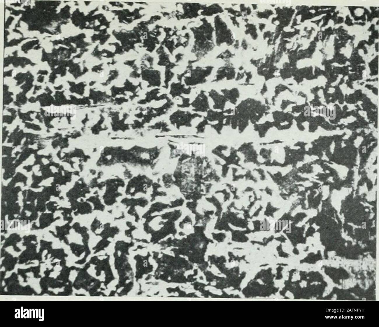 Microstructure steel hi-res stock photography and images - Alamy