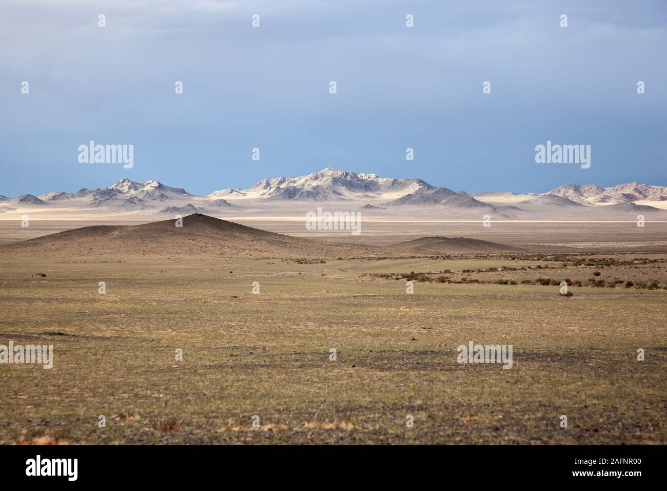 The landscape of the mongolian steppe Stock Photo - Alamy
