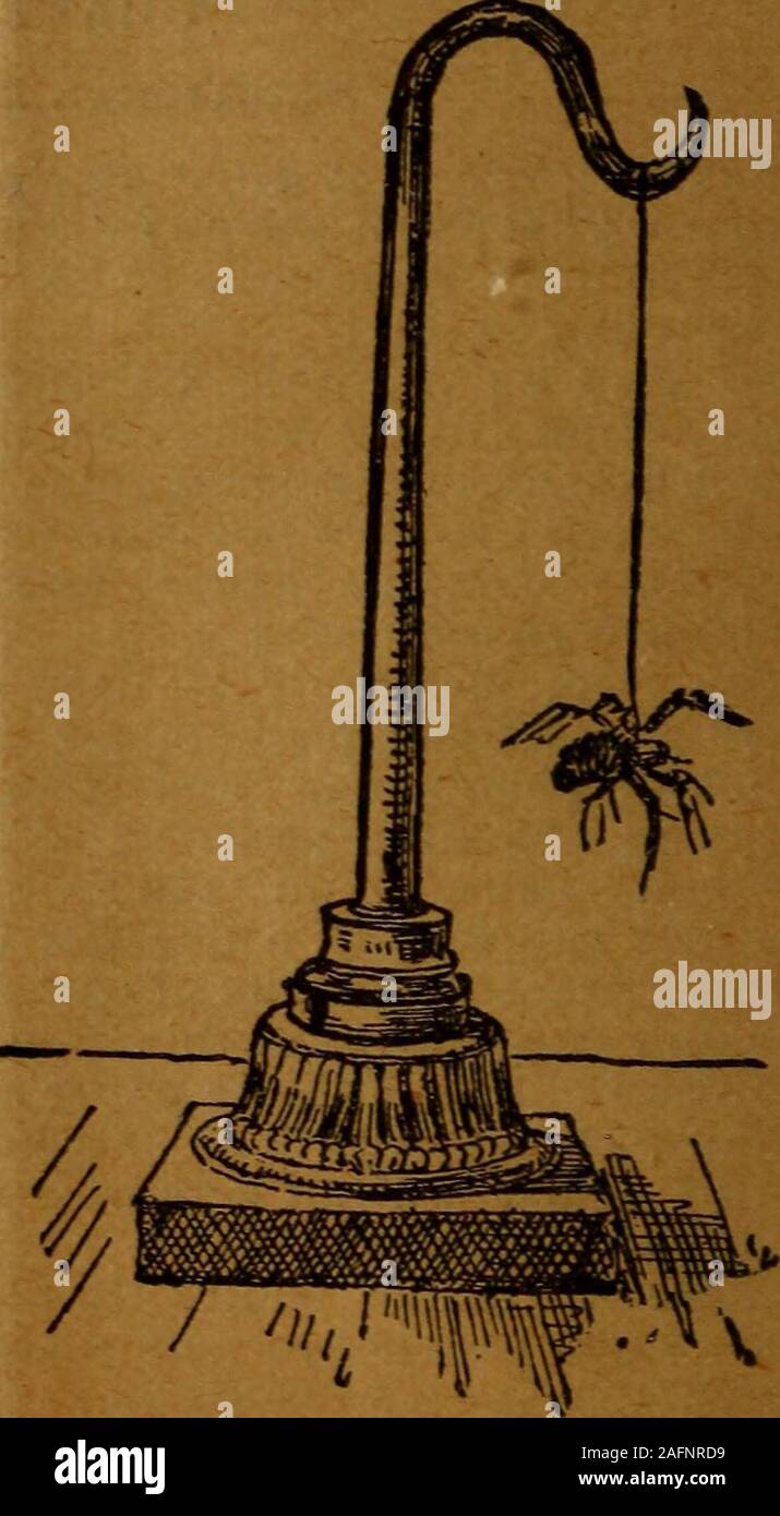 . How to make and use electricity ... USE ELECTRICITY. 5 sation od the ...