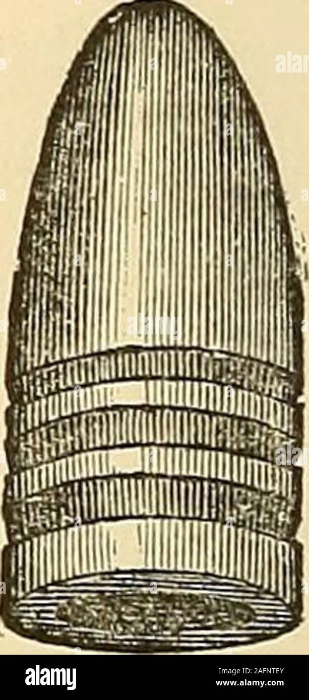 Powder gunshot hi-res stock photography and images - Alamy