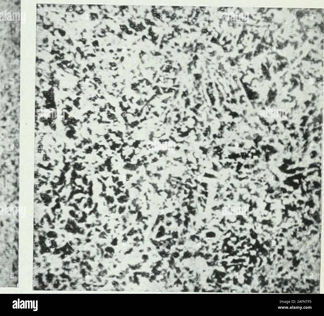 Magnified steel hi-res stock photography and images - Alamy