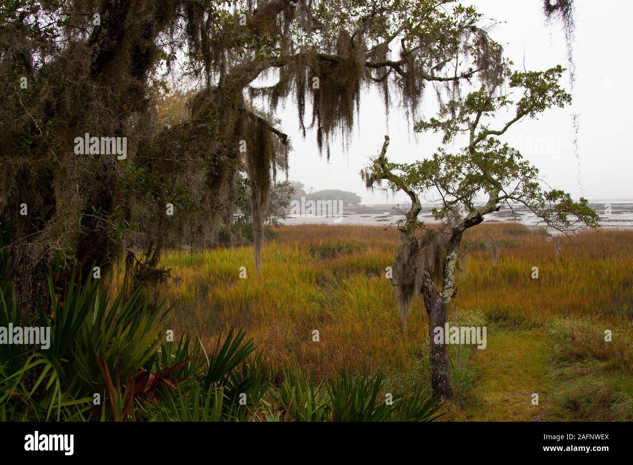 Salt marsh estuary at low tide on Amelia Island, in Nassau County ...