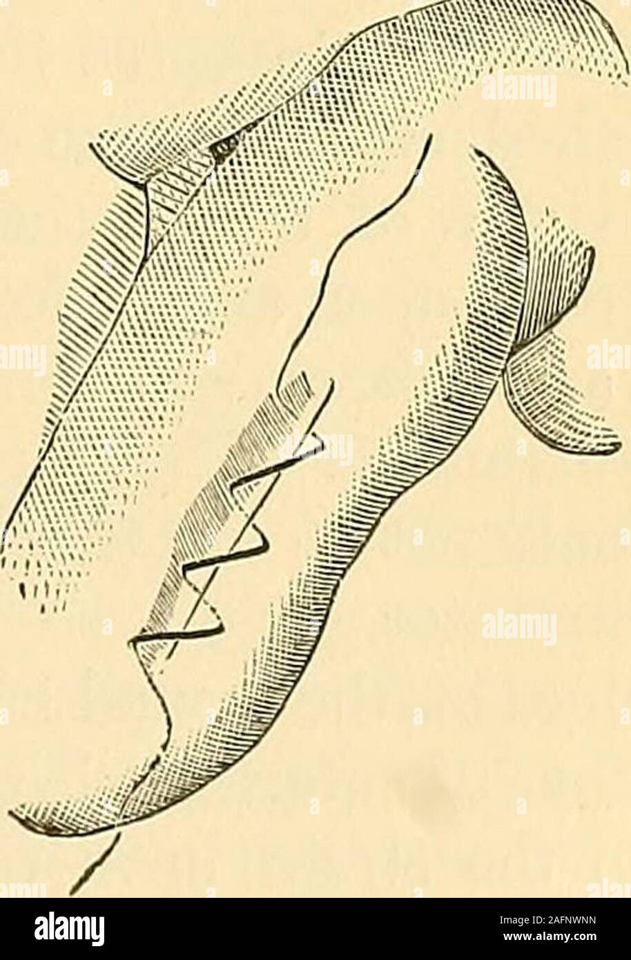 Stitch principles hi-res stock photography and images - Alamy