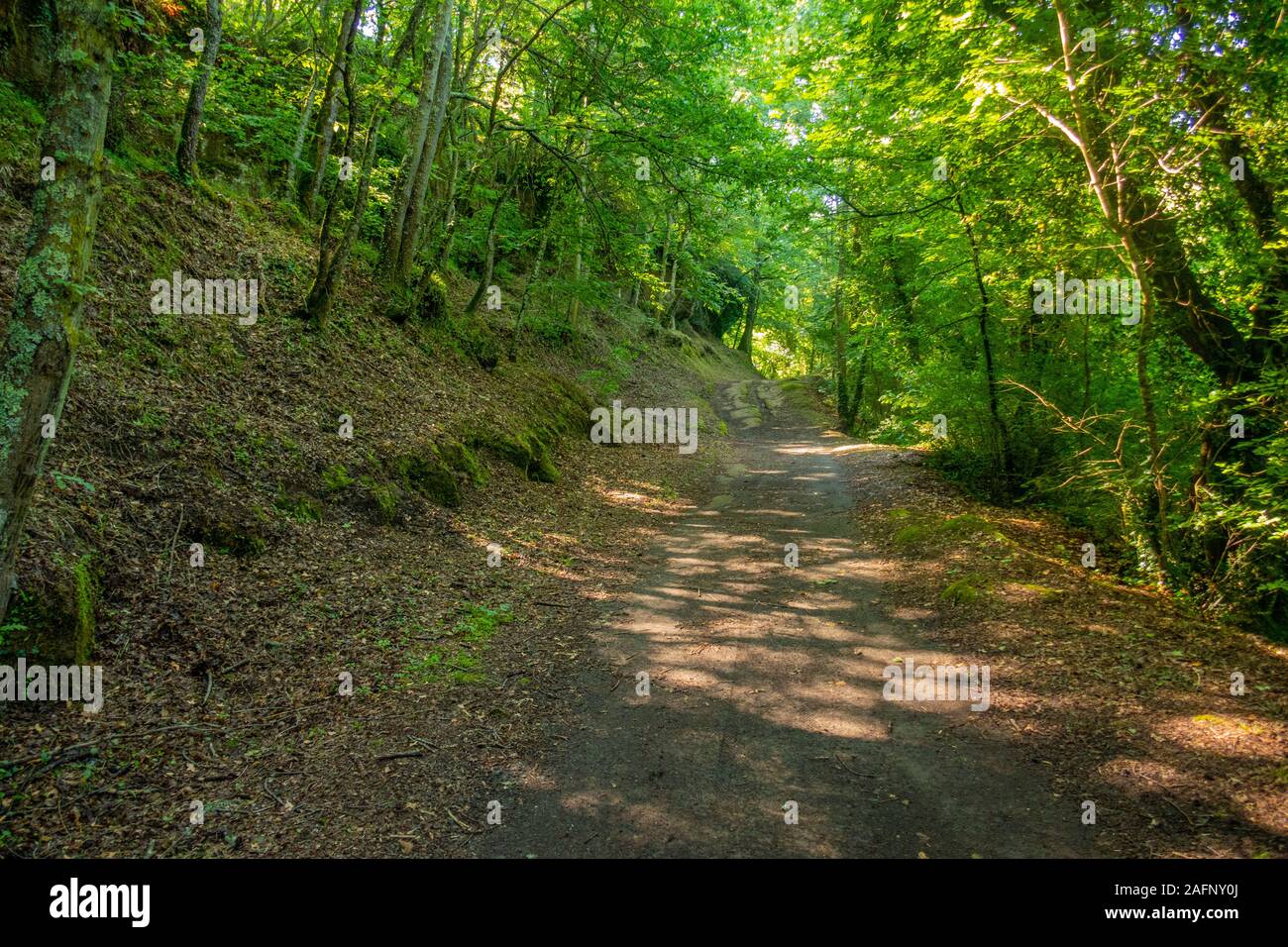 Ancient cave rock settlement of Vitozza in Lazio, Italy Stock Photo - Alamy
