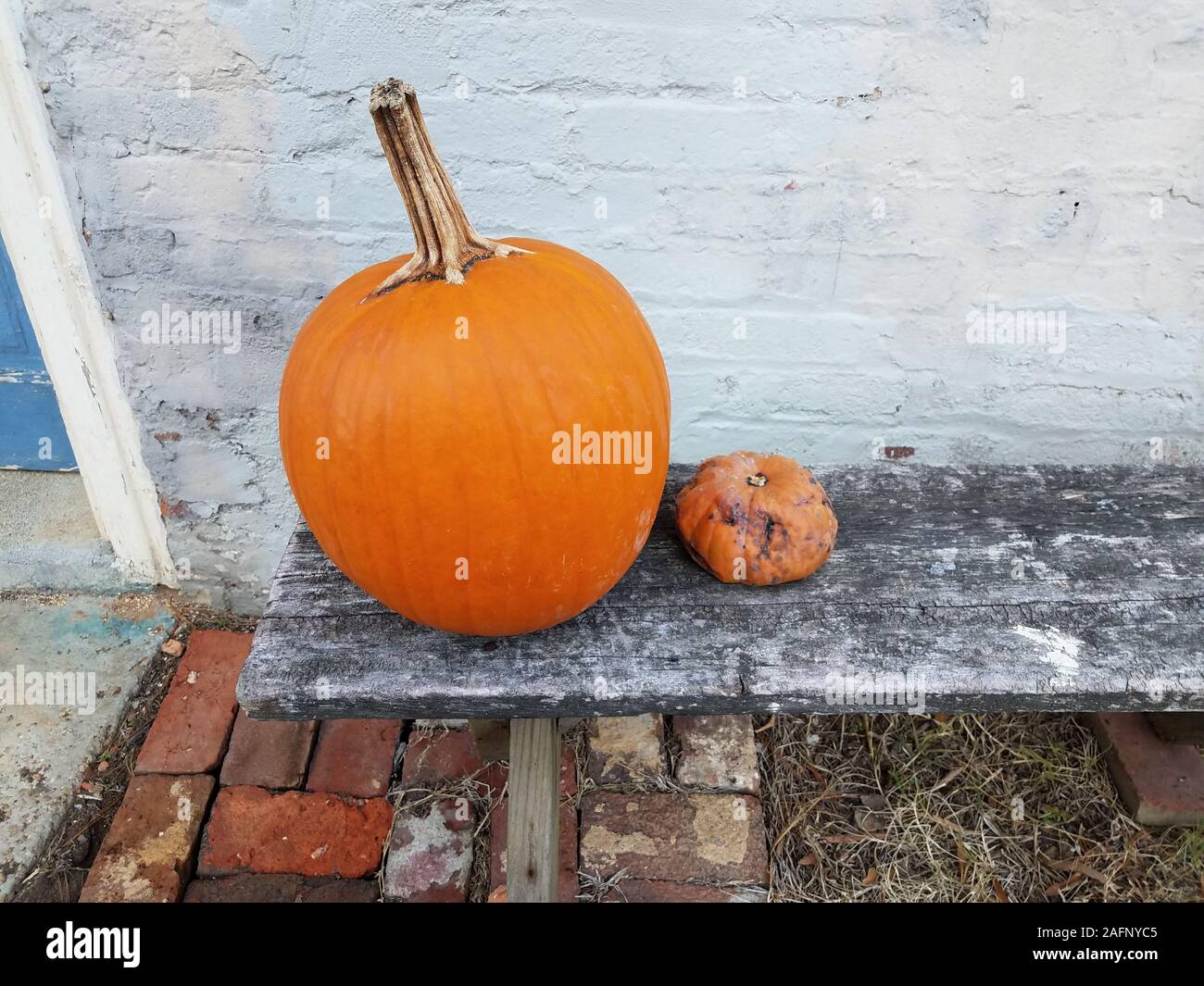 Rotten squash hi-res stock photography and images - Alamy