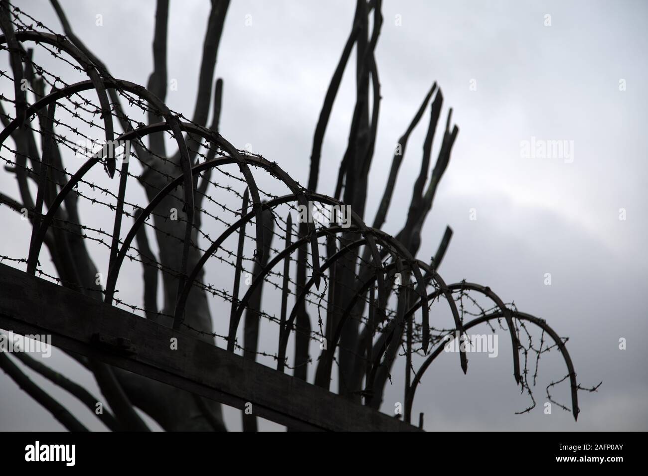 Barbed wire wall hi-res stock photography and images - Alamy