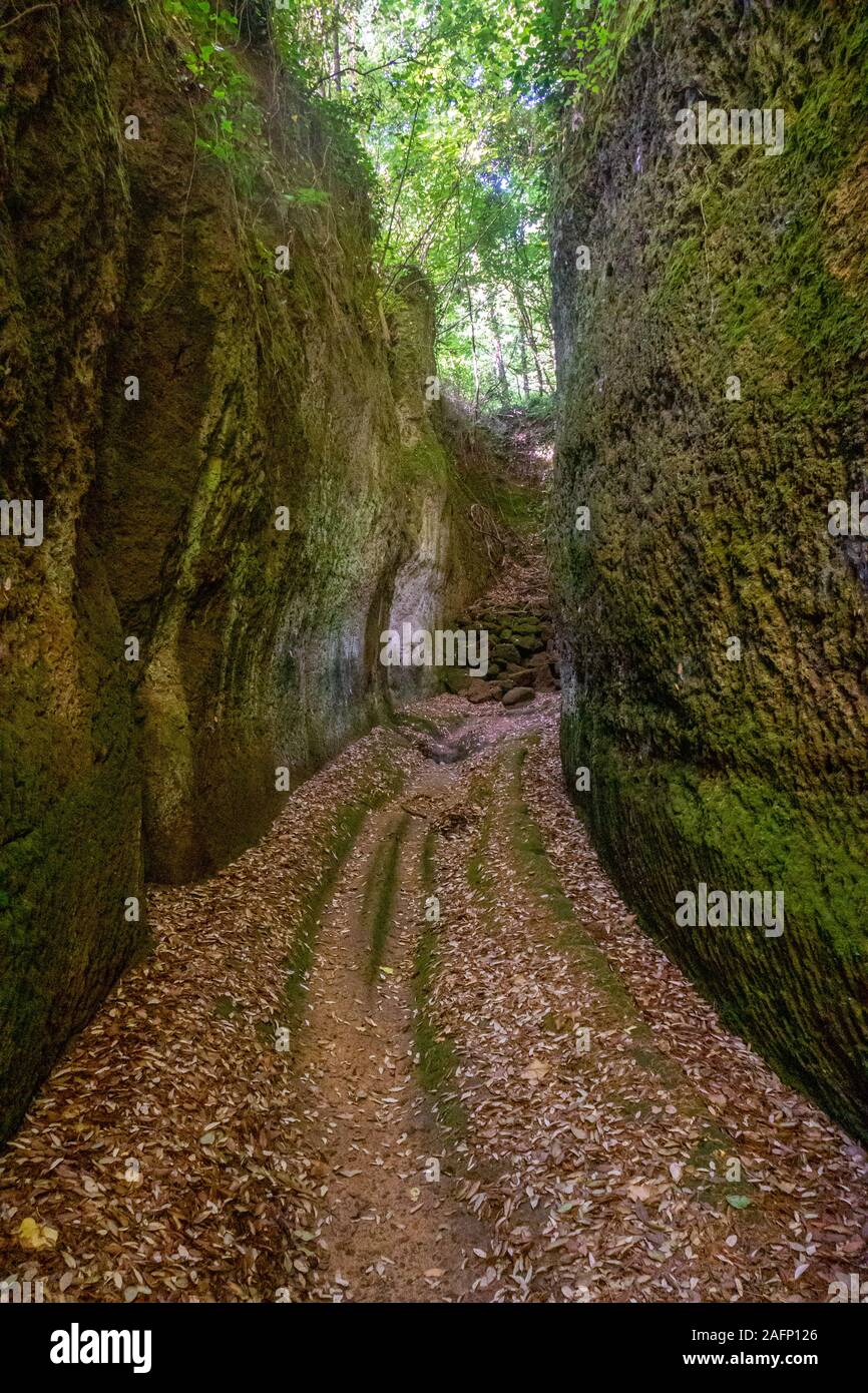 The narrow path excavated in the rock by etruscan civilization named ...
