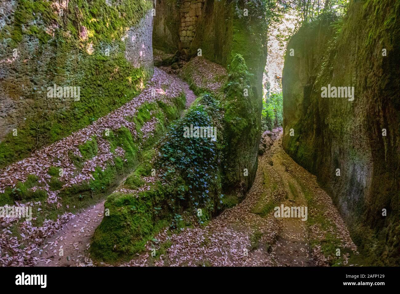 The narrow path excavated in the rock by etruscan civilization named ...