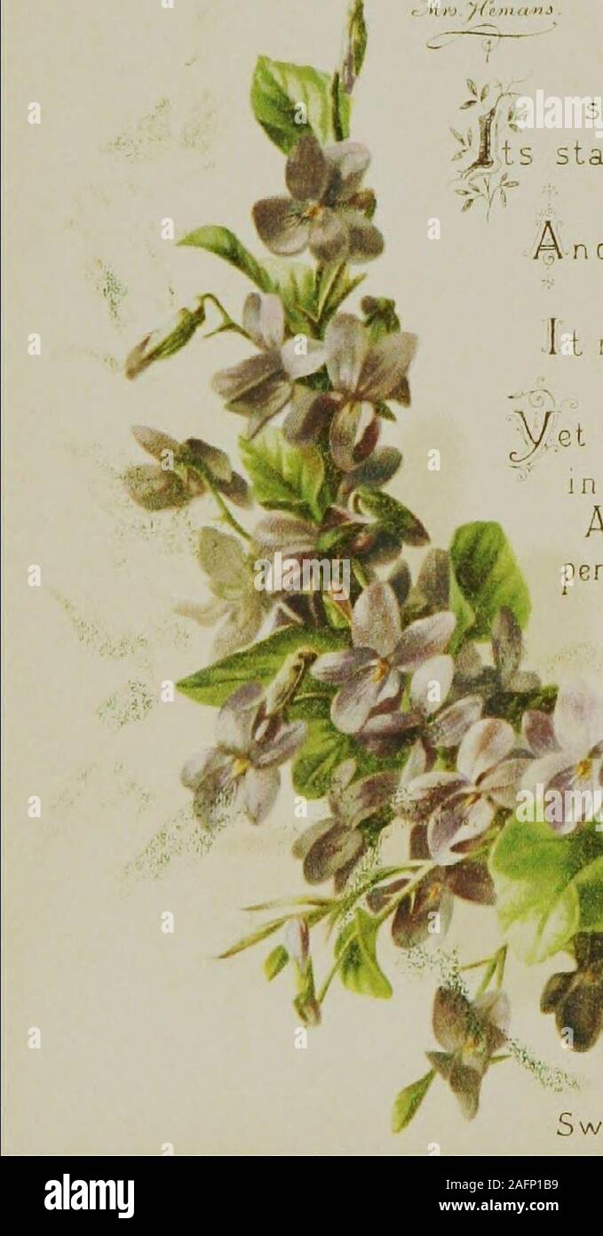 Thus lively hi-res stock photography and images - Alamy