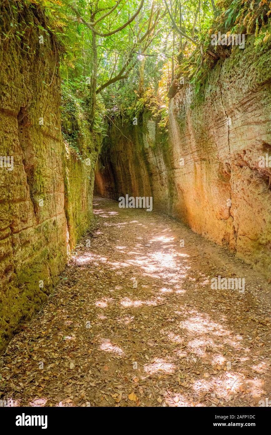 The narrow path excavated in the rock by etruscan civilization named ...