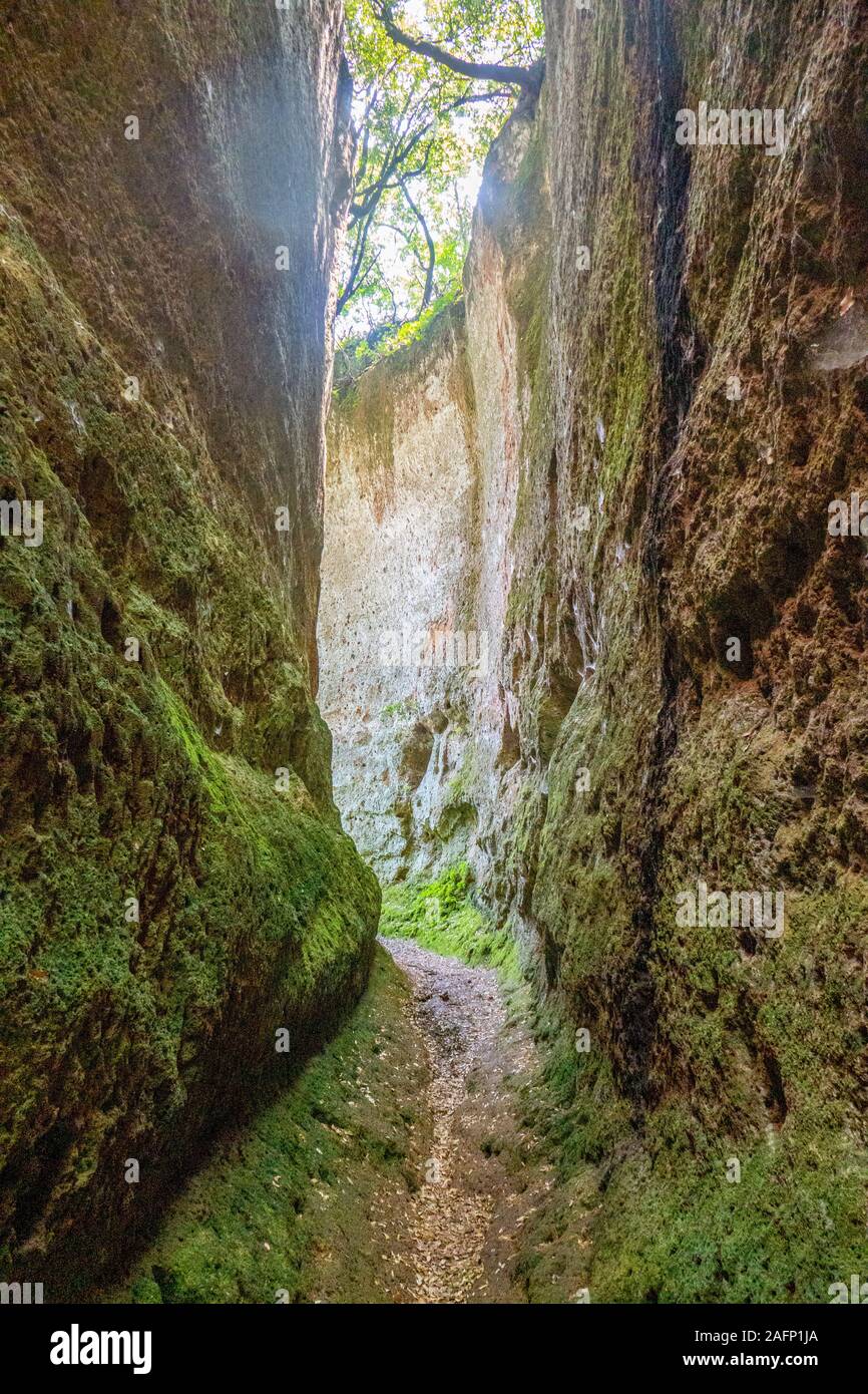The narrow path excavated in the rock by etruscan civilization named ...