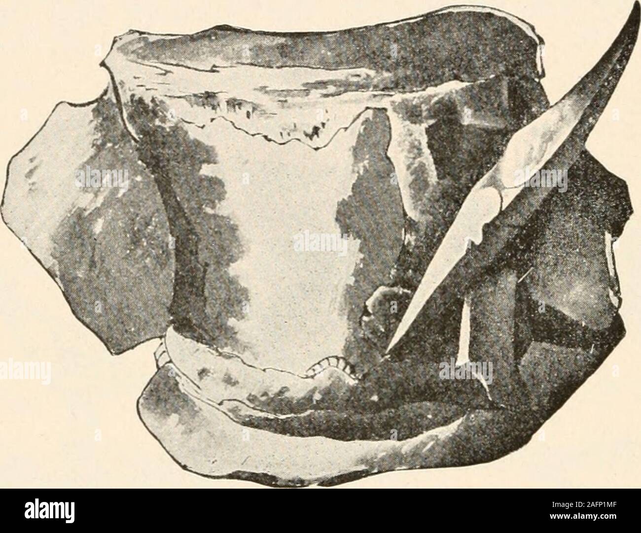 Human shaped carvings hi-res stock photography and images - Alamy