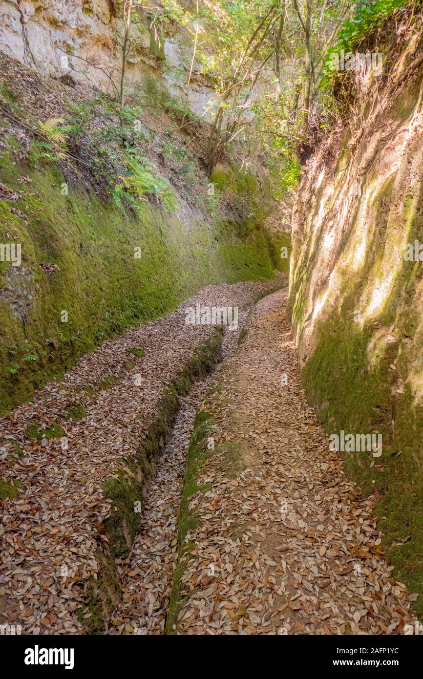 The narrow path excavated in the rock by etruscan civilization named ...