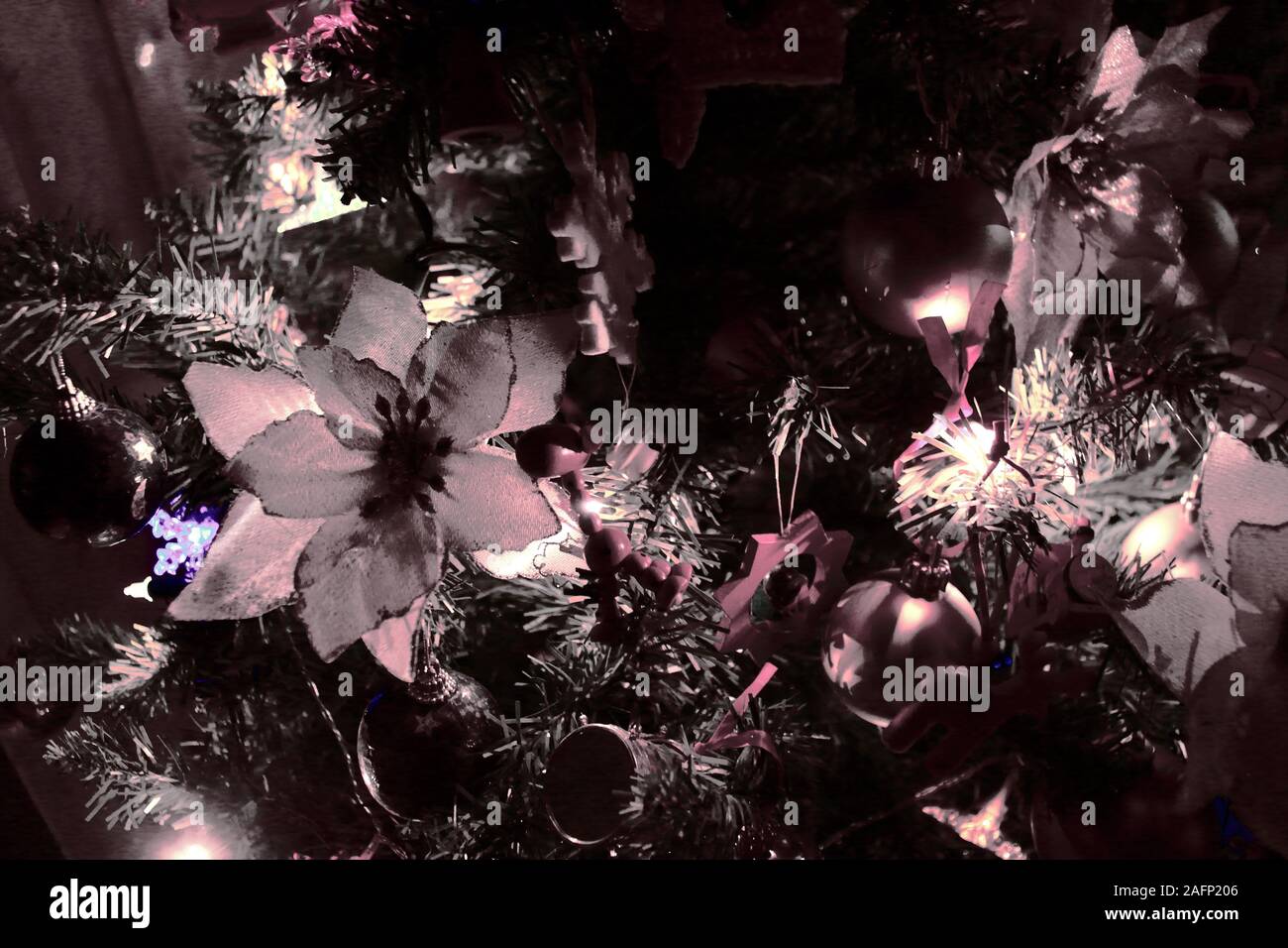 Flower christmas lights hi-res stock photography and images - Alamy