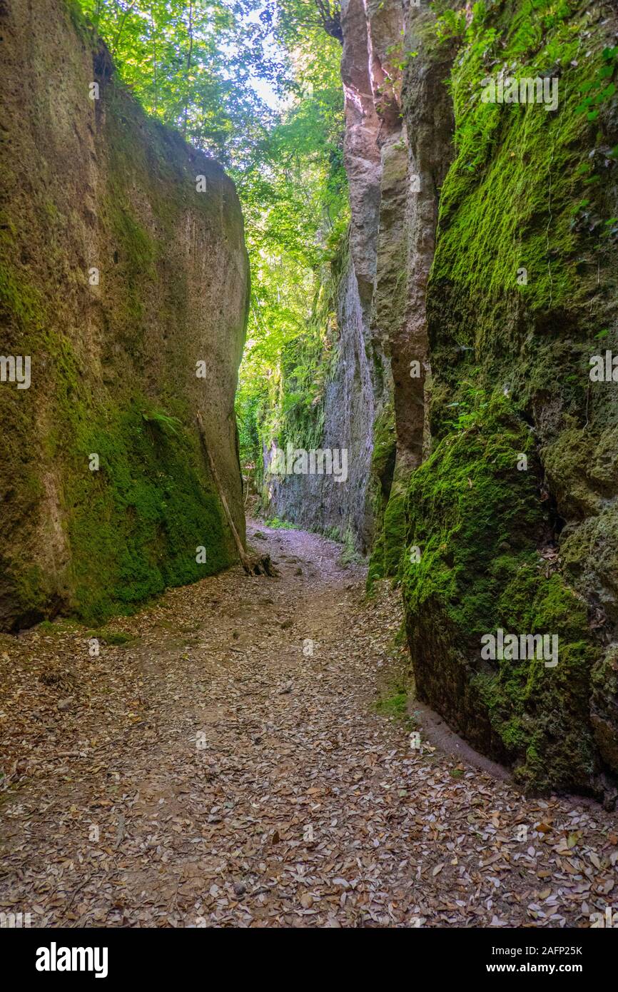 The narrow path excavated in the rock by etruscan civilization named ...